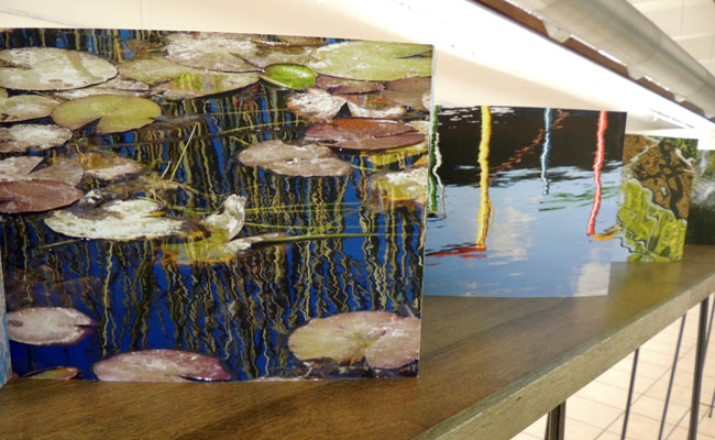 Sense of place, emplacement and bioregionality in an artist’s book ...