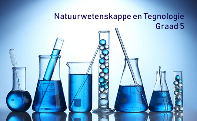 Graad 5, Junie: Natuurwetenskappe en Tegnologie ‒ vraestel en ...