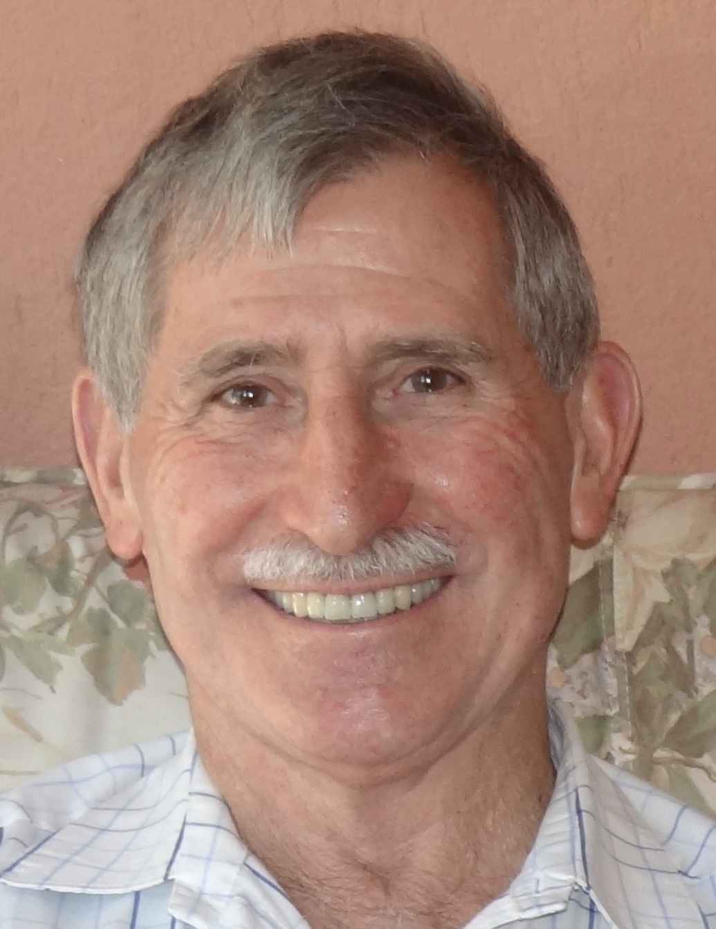 Louis du Plessis - LitNet