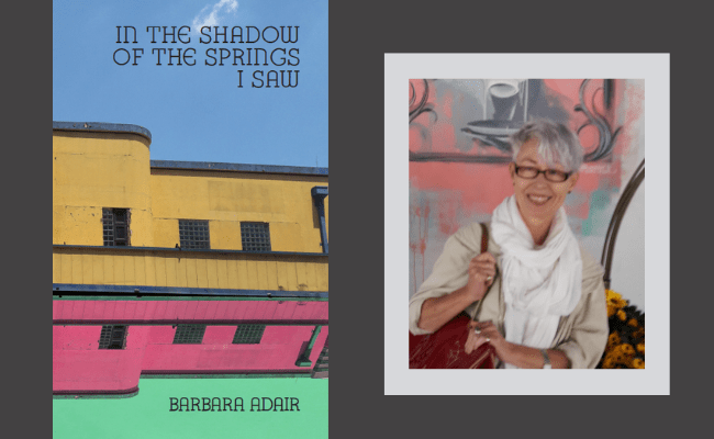 In the shadow of the Springs I saw by Barbara Adair: an inter-review ...