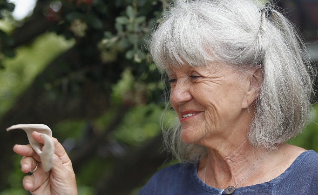 Katinka Heyns deur die Indiese Filmfees in Suid-Afrika vir lewensbydrae ...